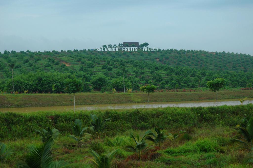 Attractions Area in Selangor: Selangor Fruit Valley (SFV)