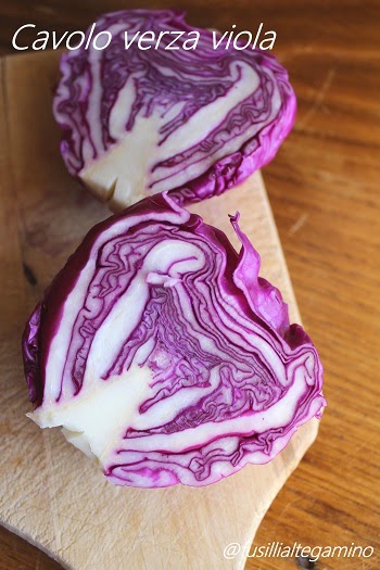 fusillialtegamino: Lasagna al cavolo verza viola
