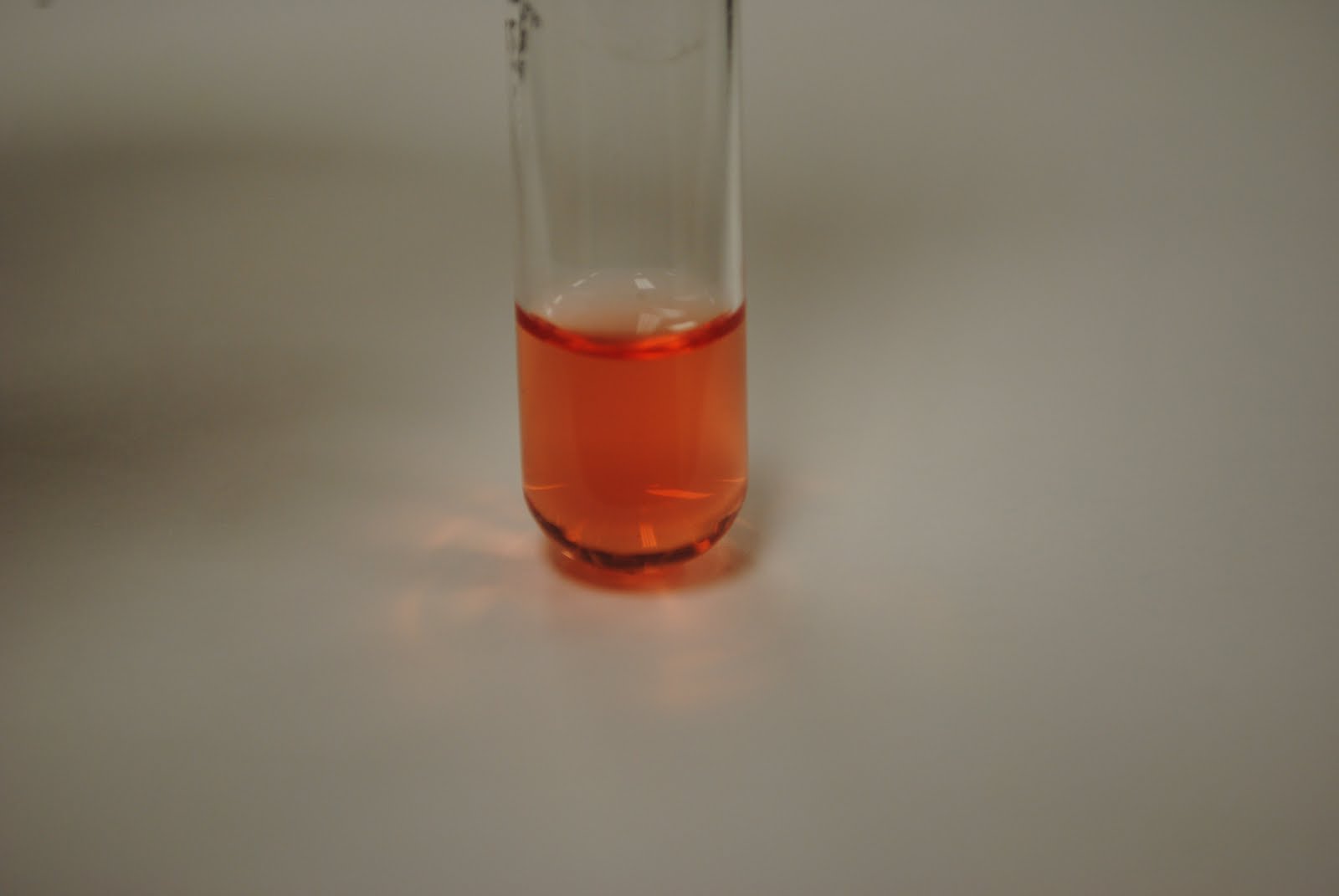 Biology Writing: Andrew Faust: Lab Report: Urea Hydrolysis Test