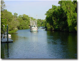 Life In Florida: Inglis Florida