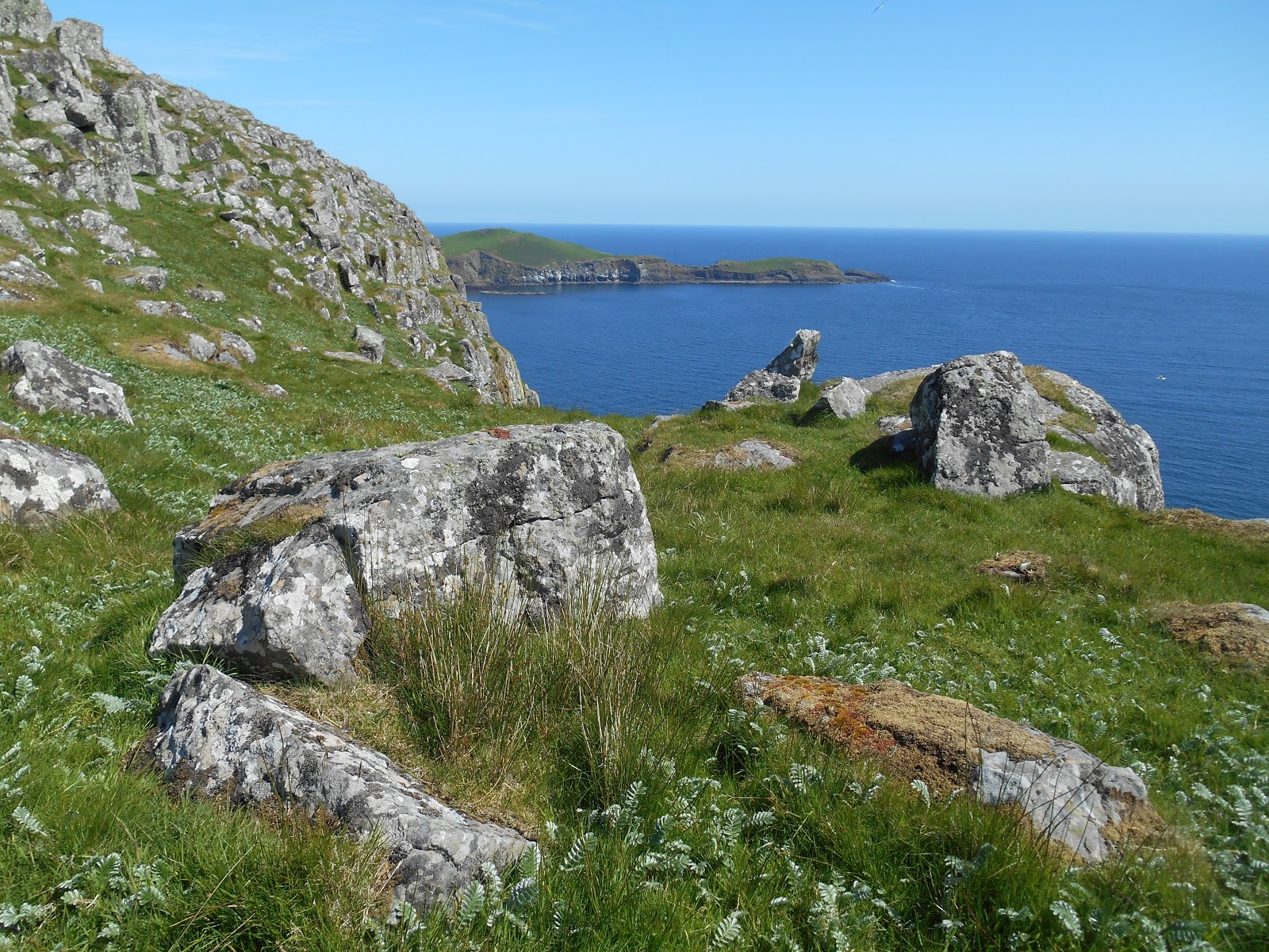 A lifetime of Islands: Island 312 - Eilean an Taighe, Shiant Isles ...