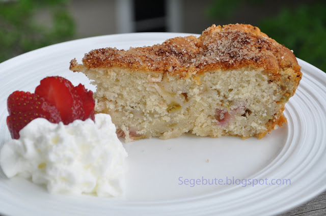 SEGEBUTĖS UŽRAŠAI: 2011-05