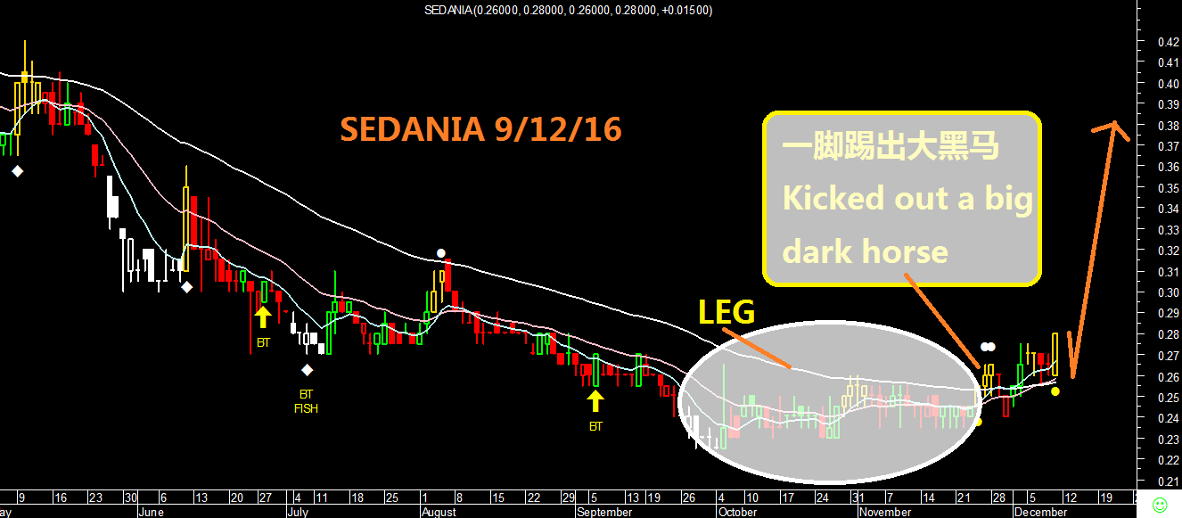 如何捕捉飙涨股 How to capture soaring stocks | Sharetisfy