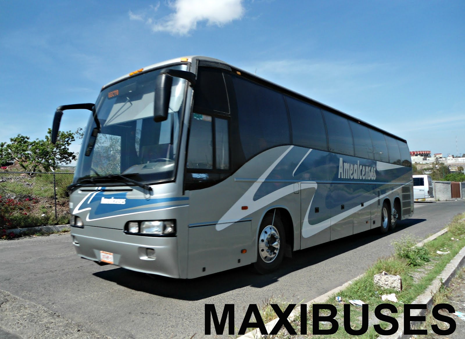 MAXIBUSES: AUTOBUSES AMEALCENSES
