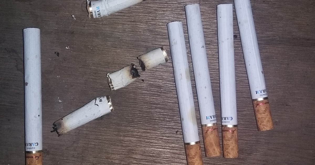 PEMANFAATAN PUNTUNG ROKOK SEBAGAI INSEKTISIDA NABATI | LINDUNG ...