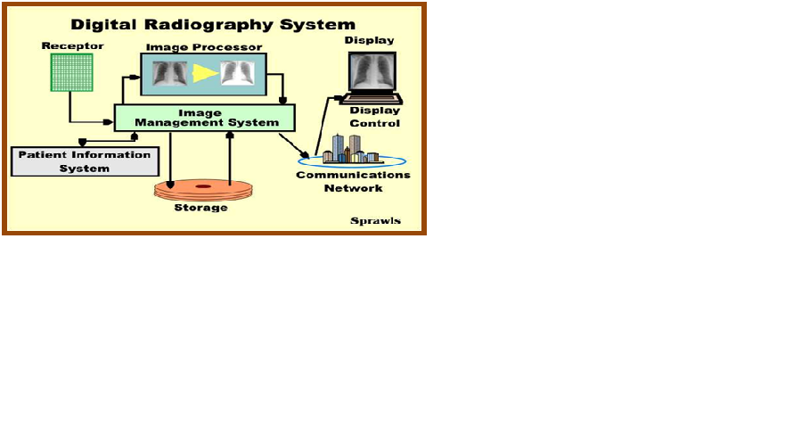 belajar radiologi dengan baik: DR (Digital Radiography)