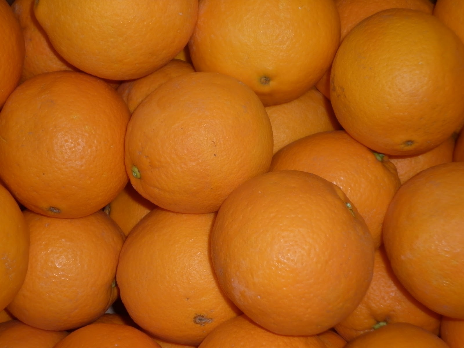 MandarinasSanz.com - Evolución: La naranja valenciana la mejor naranja ...