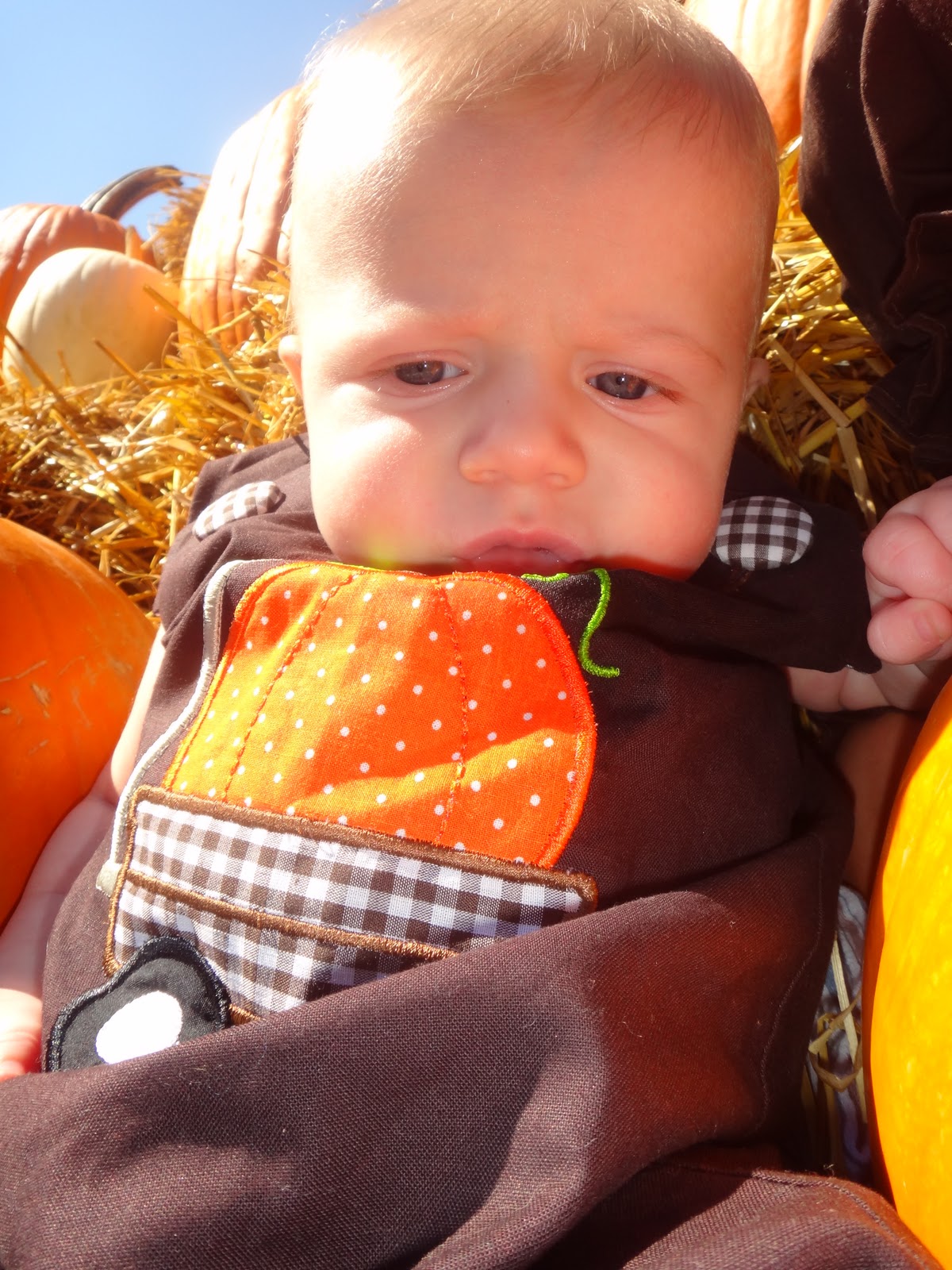 Maddox Walker Rhodes