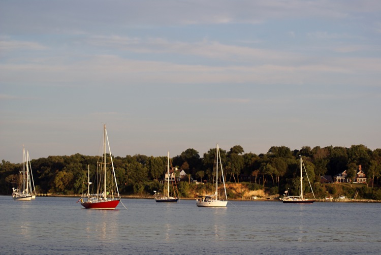 Life in the Slow Lane (The Pearl): Sept. 7 - Still Pond, MD