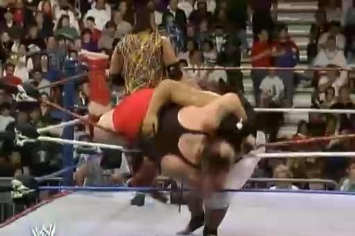 Wrestlemania para siempre: Royal Rumble (1993)