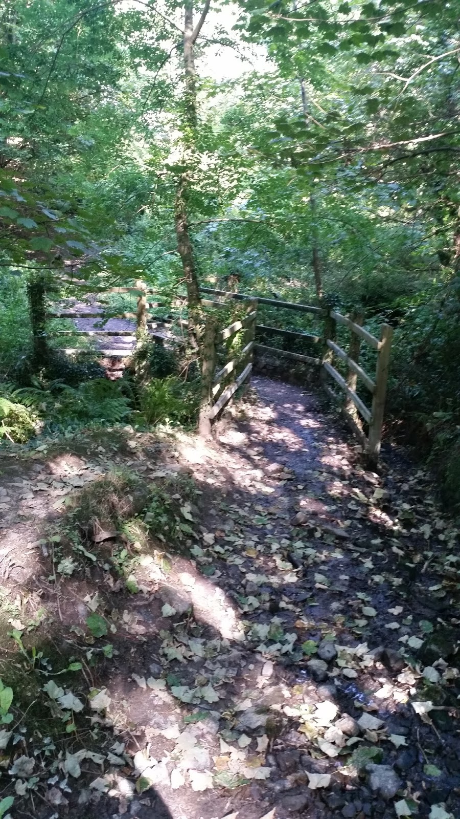 Gone for a walk....: Part 1, Welcombe Mouth to Morwenstow