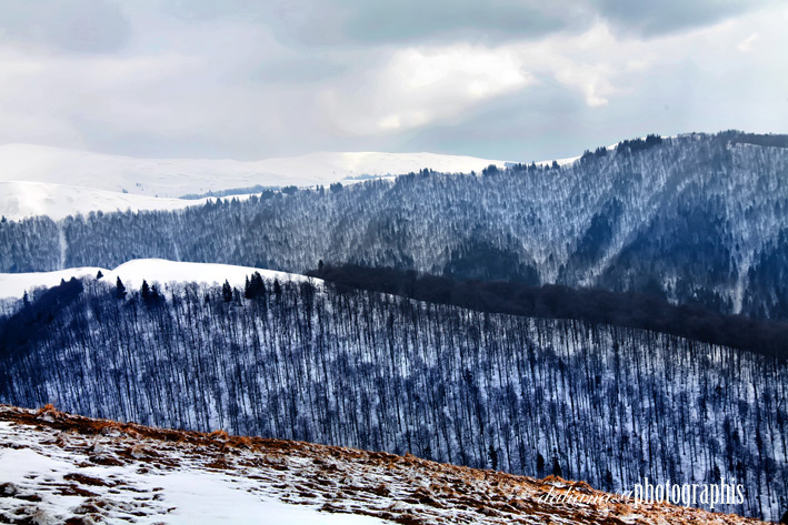 Photographis: Winter in March