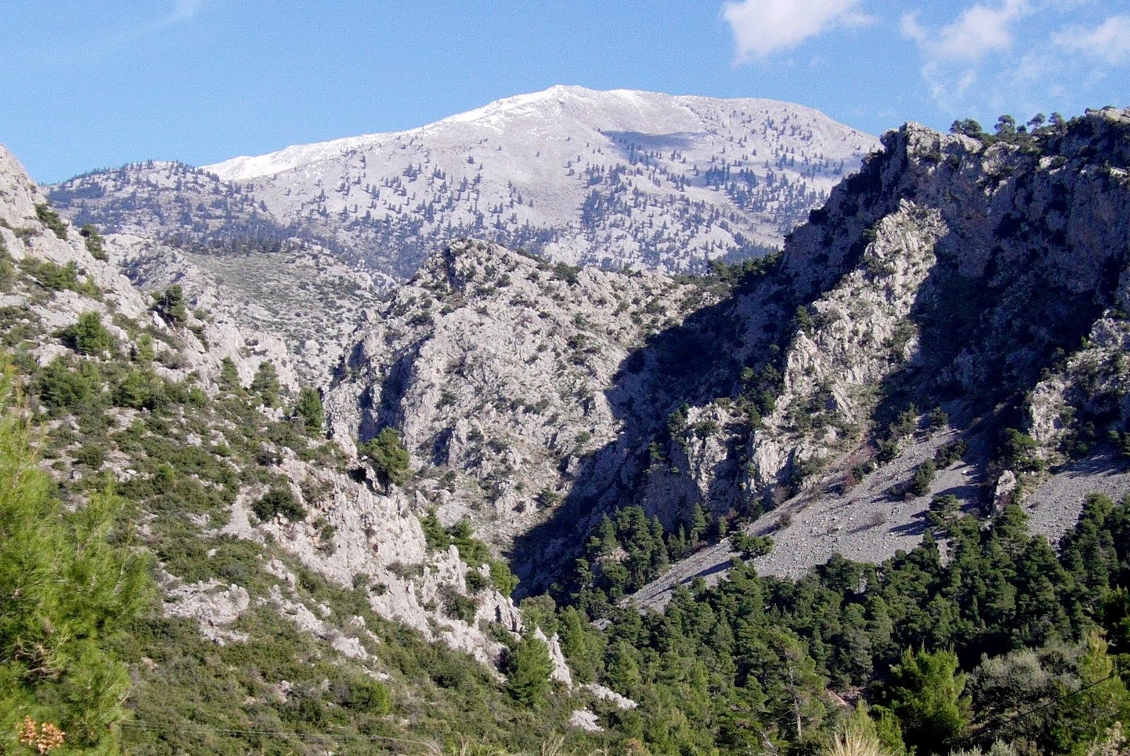 ΜΑΘΗΤΙΚΗ ΠΑΡΡΗΣΙΑ: ΣΤΟ ΦΑΡΑΓΓΙ ΤΗΣ ΑΓΑΛΗΣ