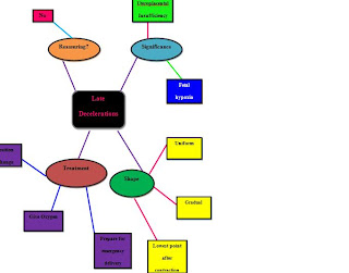 Maternal Health: Example of Mind Map