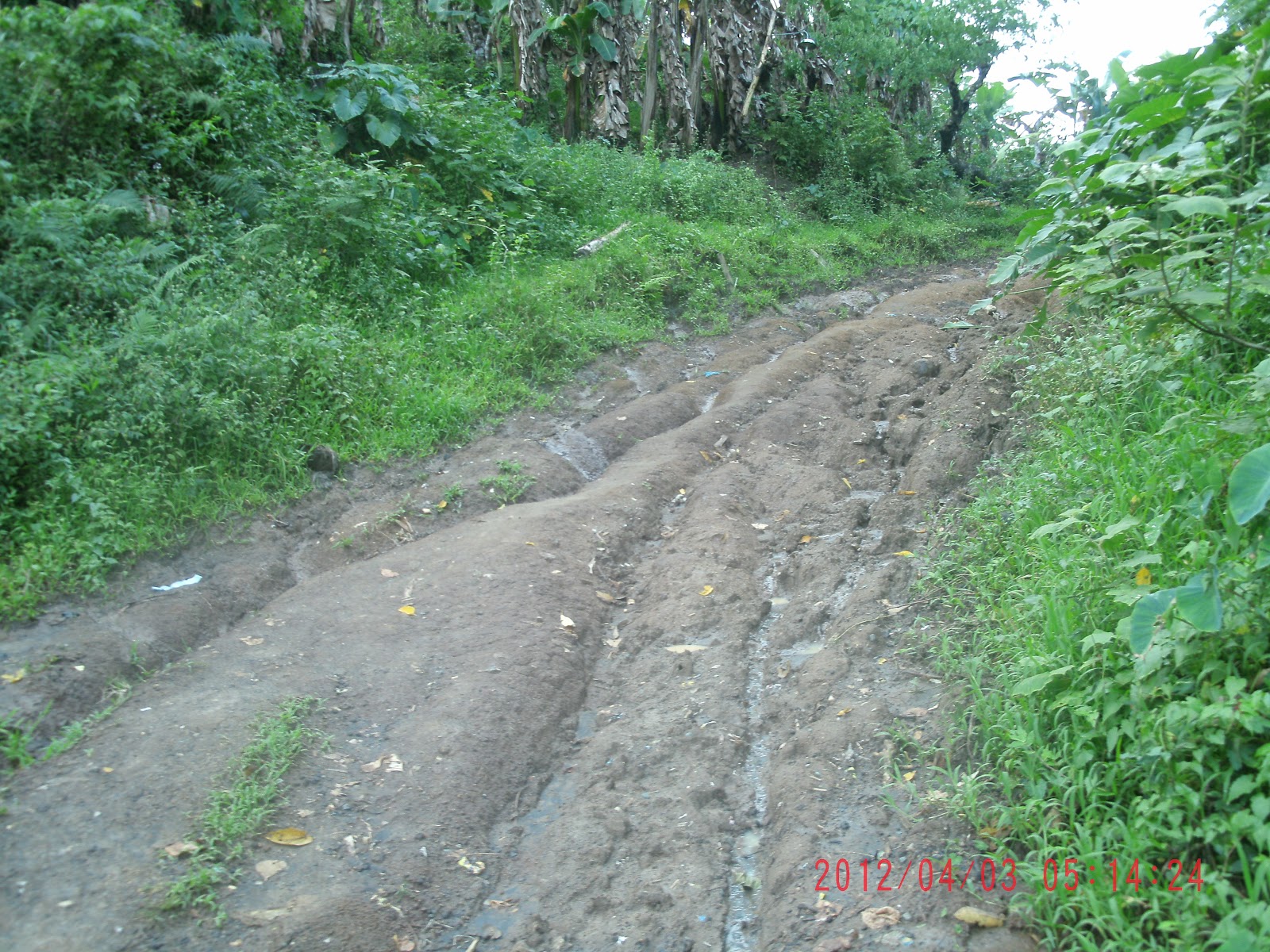 bahura sa gitna ng blangkong papel: Di Nagmamaliw Ang Apoy (Sa Tabing ...
