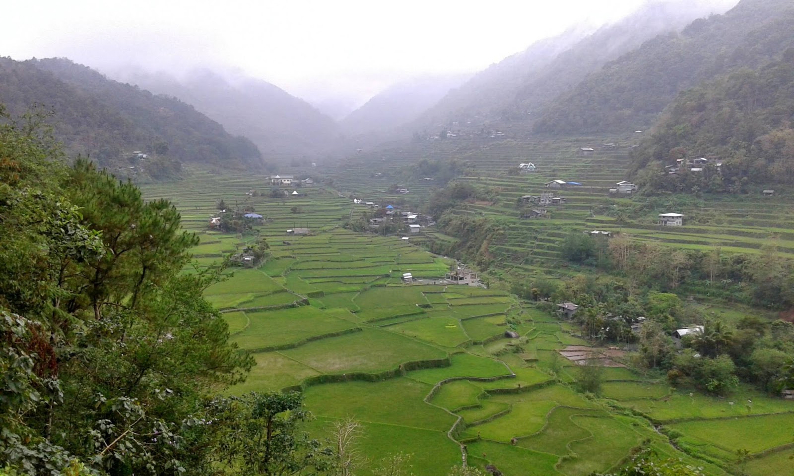 Mt. Napulawan Adventure - Thin Thoughts