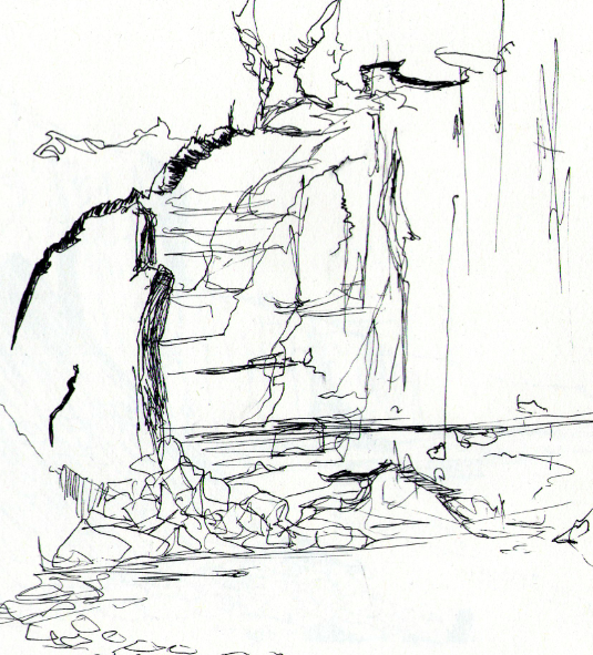 Natural Tensions Project: Project Gallery