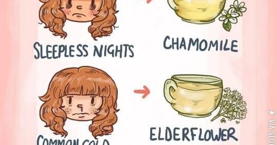 The Path We Live: How to Drink Teas Properly?