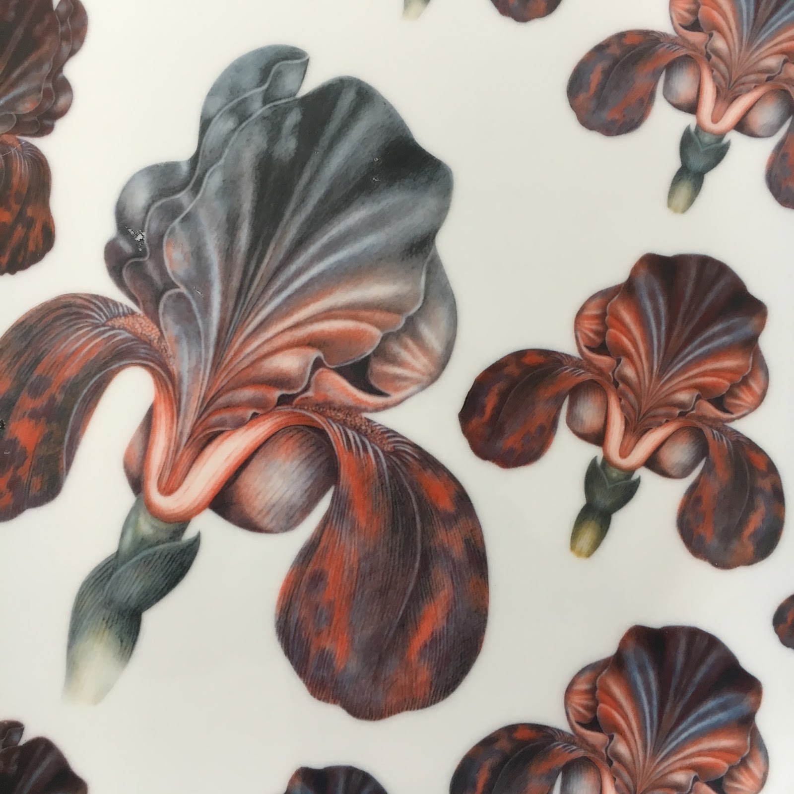 EUGENE HŐN : CERAMIC ARTIST: Digitally Printed Ceramic Transfers of ...