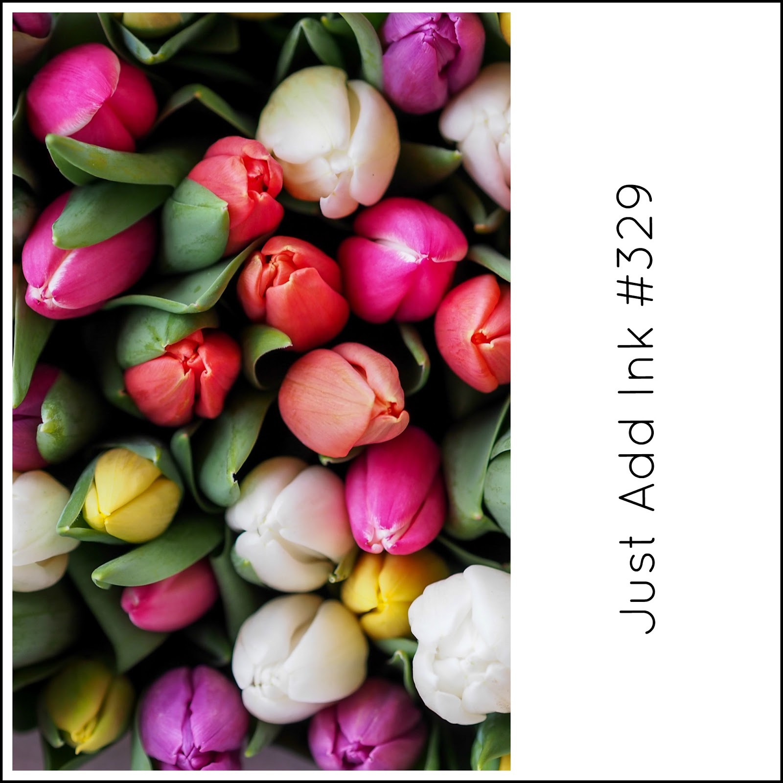 Just Add Ink: Just Add Ink #329...Inspiration!