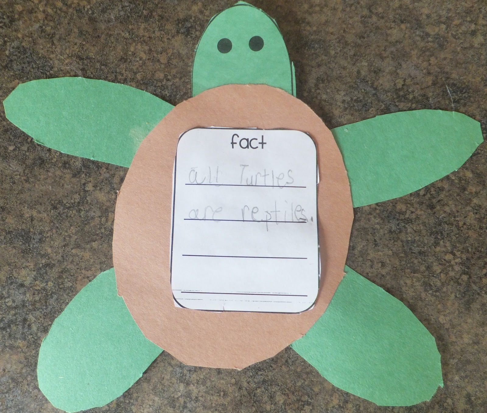 Winners & Baby Sea Turtles | Falling into First