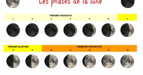 Crapouillotage: Les phases de la Lune