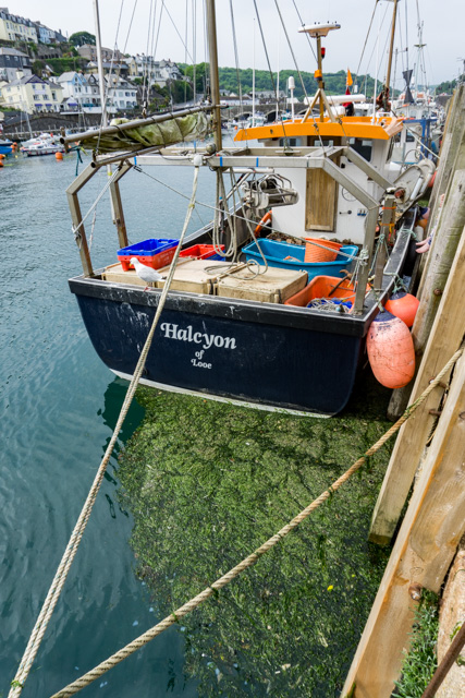 Through the Gaps! - Newlyn Fishing News: A day in Looe Cornwall UK fish ...