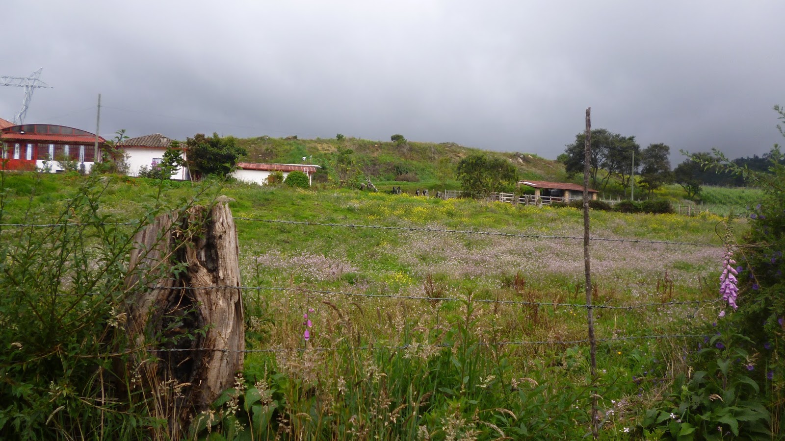 Geografia humana : Lo rural