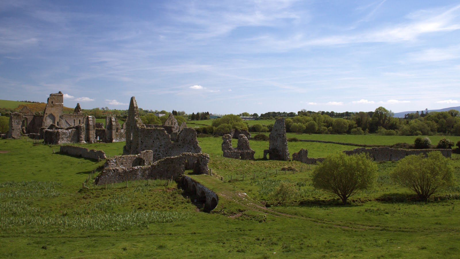 Historic Sites of Ireland: Athassel Abbey