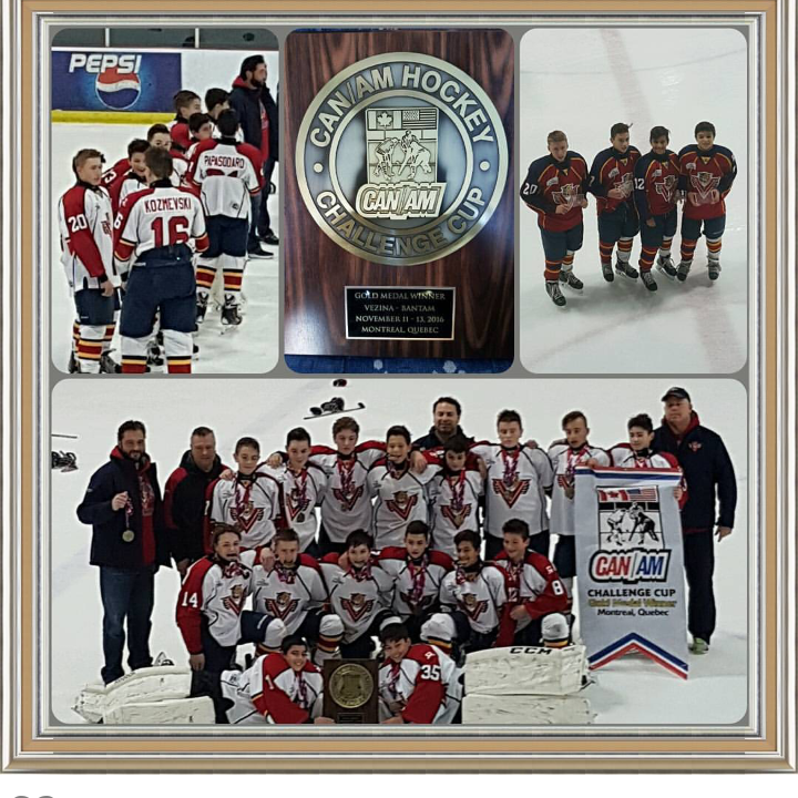 The Vaughan Panthers: 2016