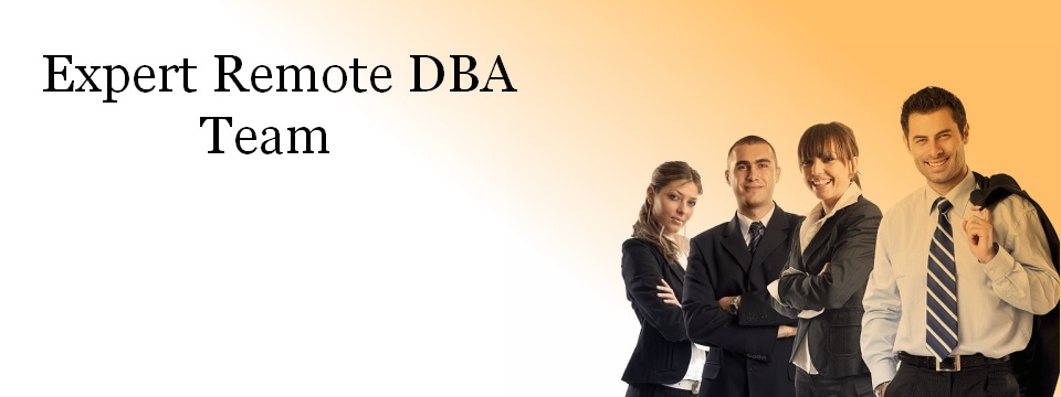Expert remote dba support and services- Dbametrix.com: Outsource data ...