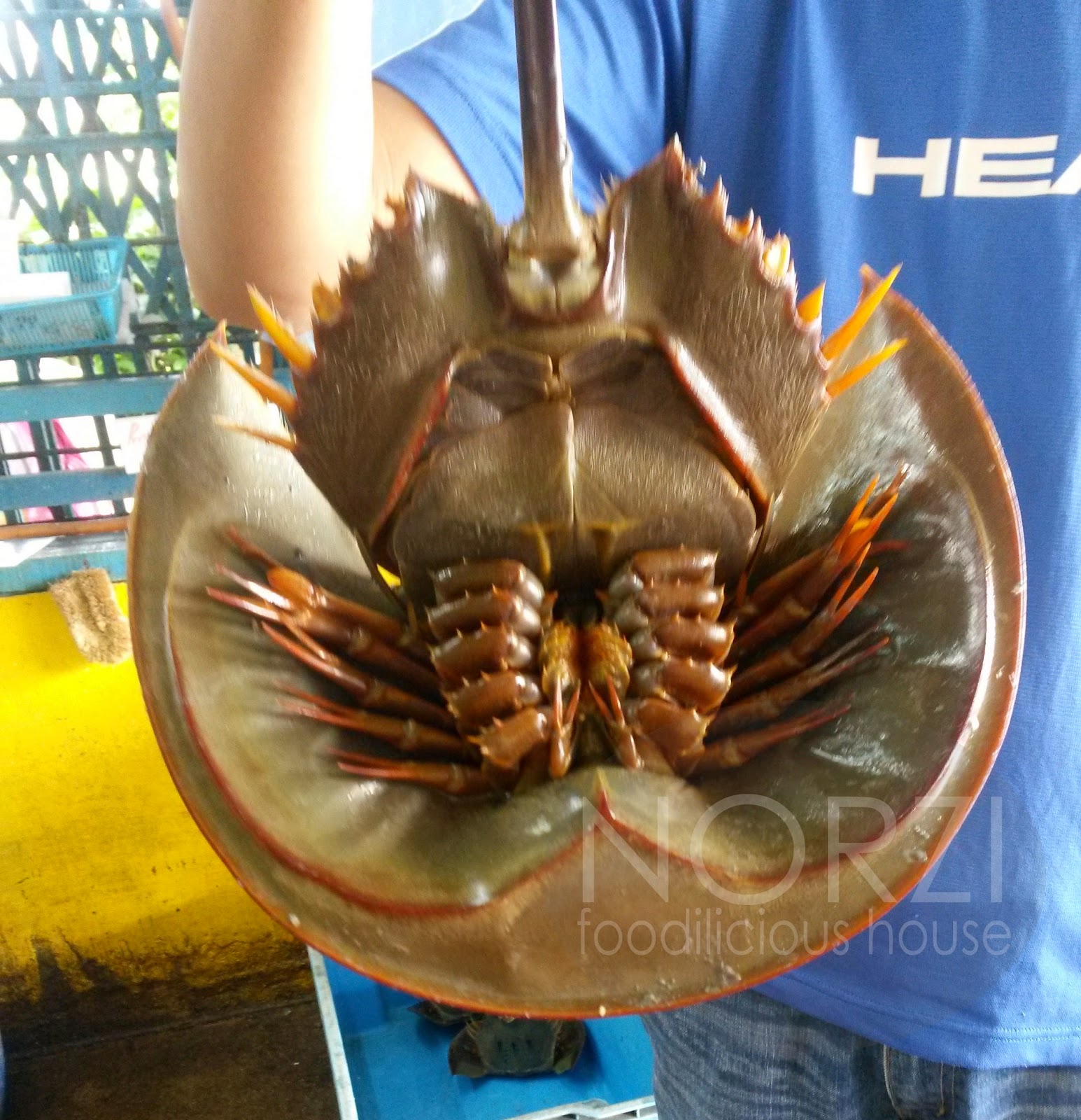 NORZI FOODILICIOUS HOUSE: APA ITU BELANGKAS