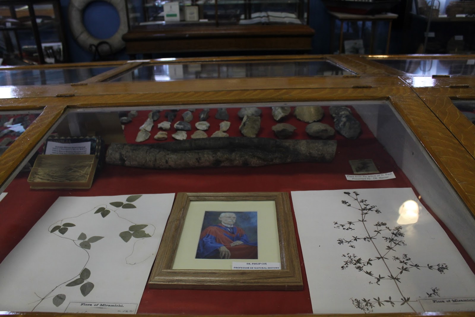 Explore Miramichi With Me: Things to Do: Miramichi Natural History Museum