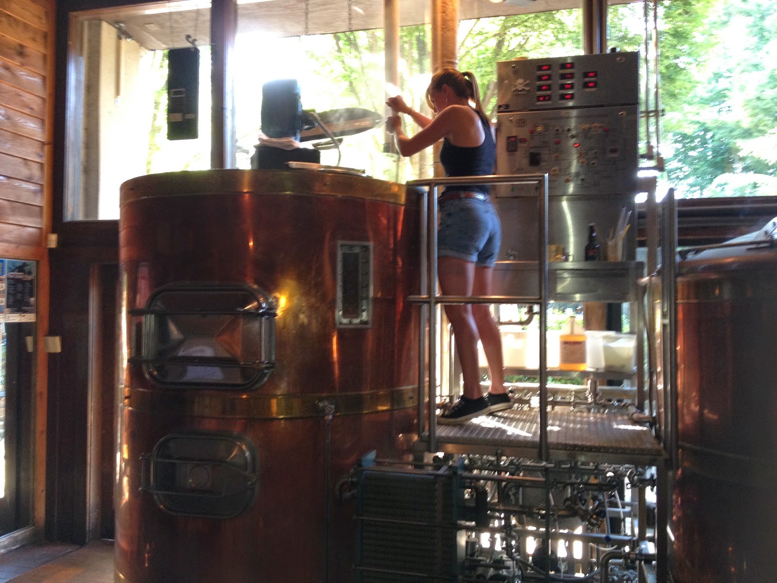 Headforbeer.com: Great Day for IPA at Blue Ridge Brewing, Greenville