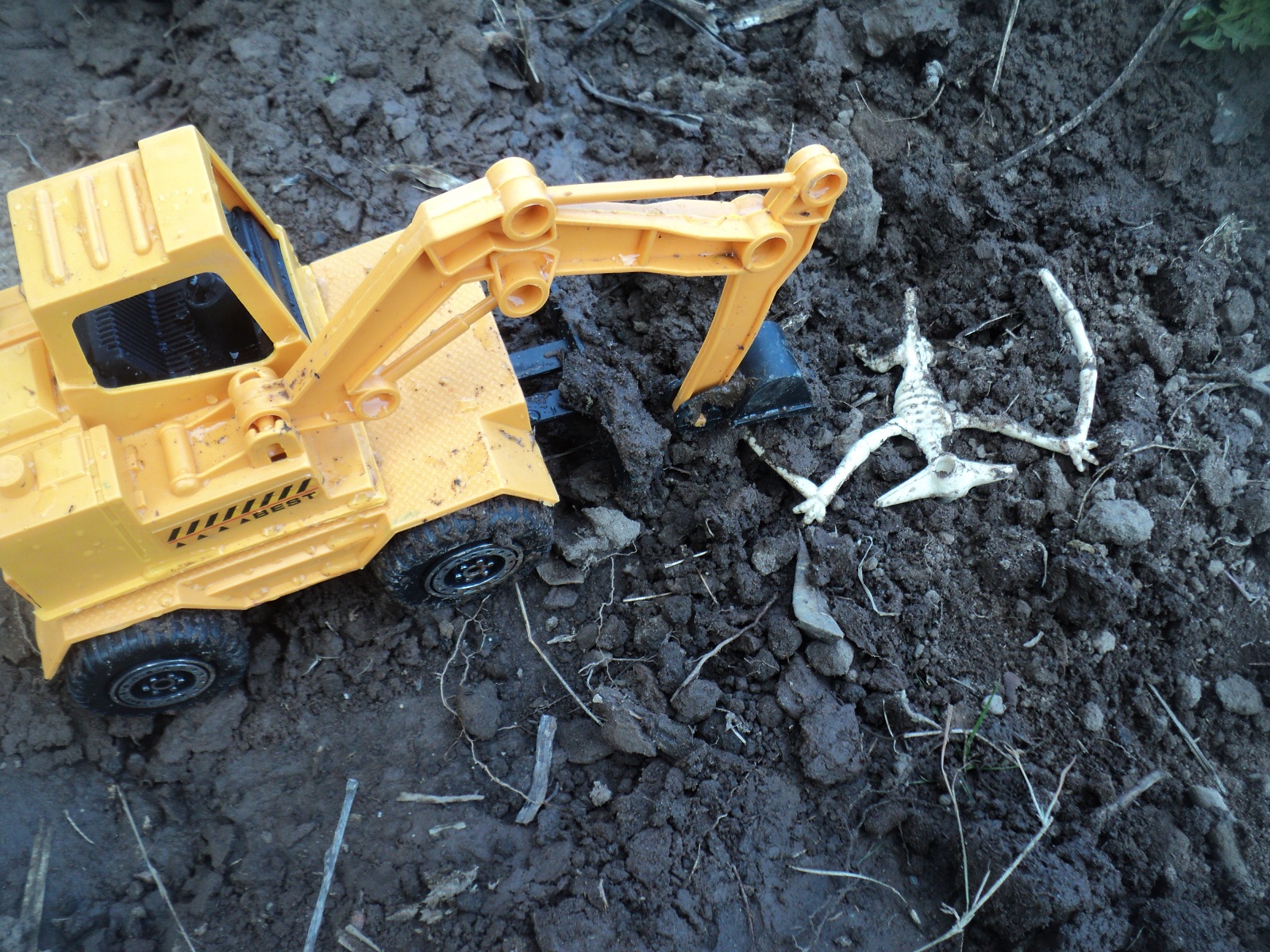 Adventures at home with Mum: Digging for Dinosaurs; 'D' activities