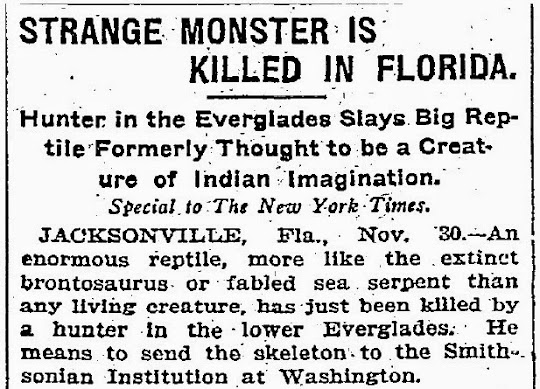 Report from the Florida Zone: The 1901 Everglades Monster