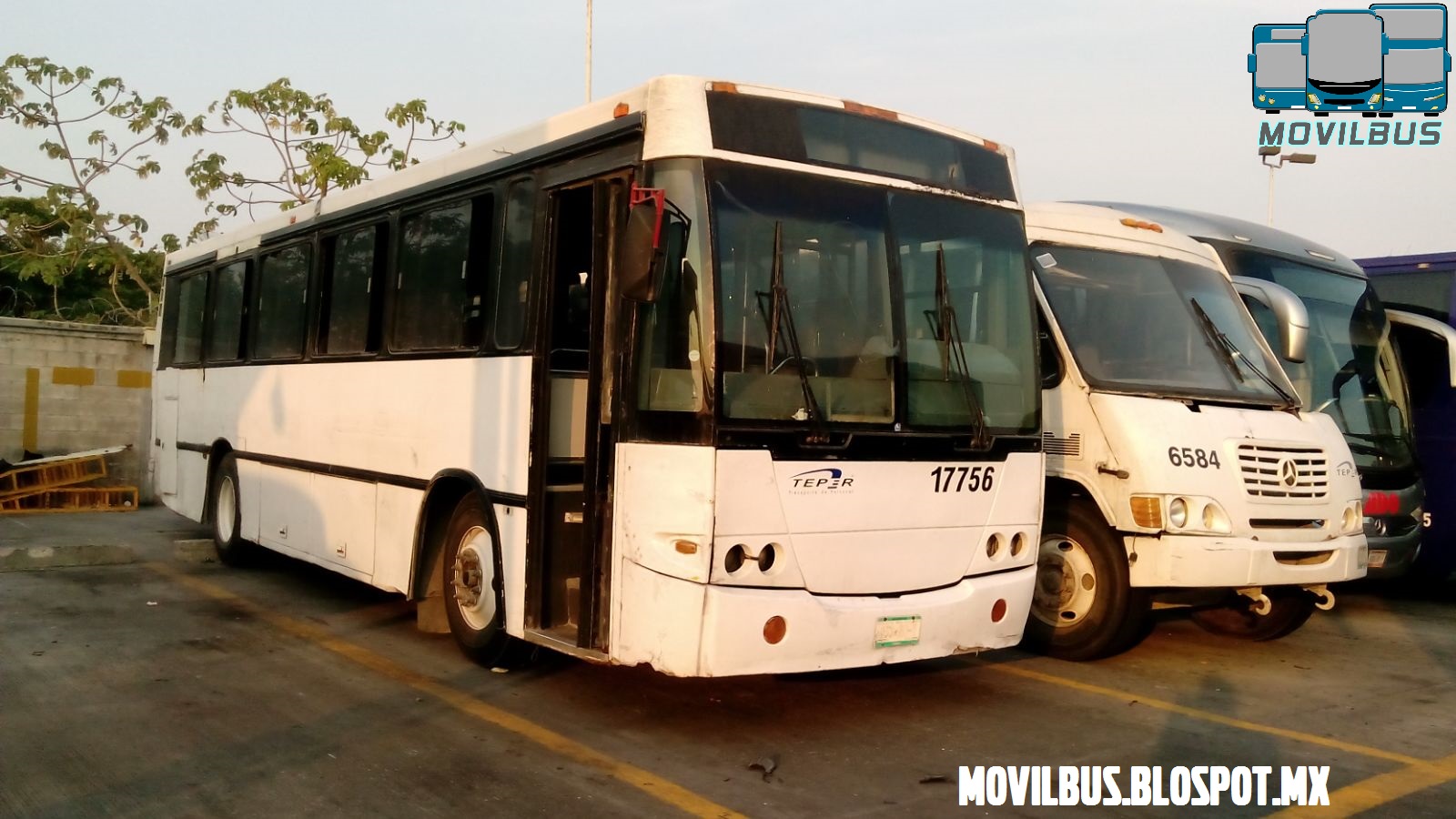 Fotos de los autobuses de la flota de Transporte Especializado de ...
