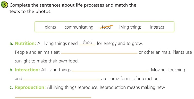 Social / Natural Science Year 3: Activities to review