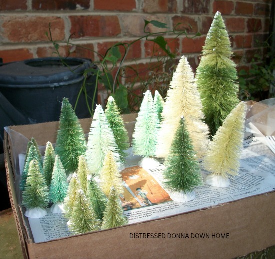 Distressed Donna Down Home: Bleaching Bottle Brush Trees