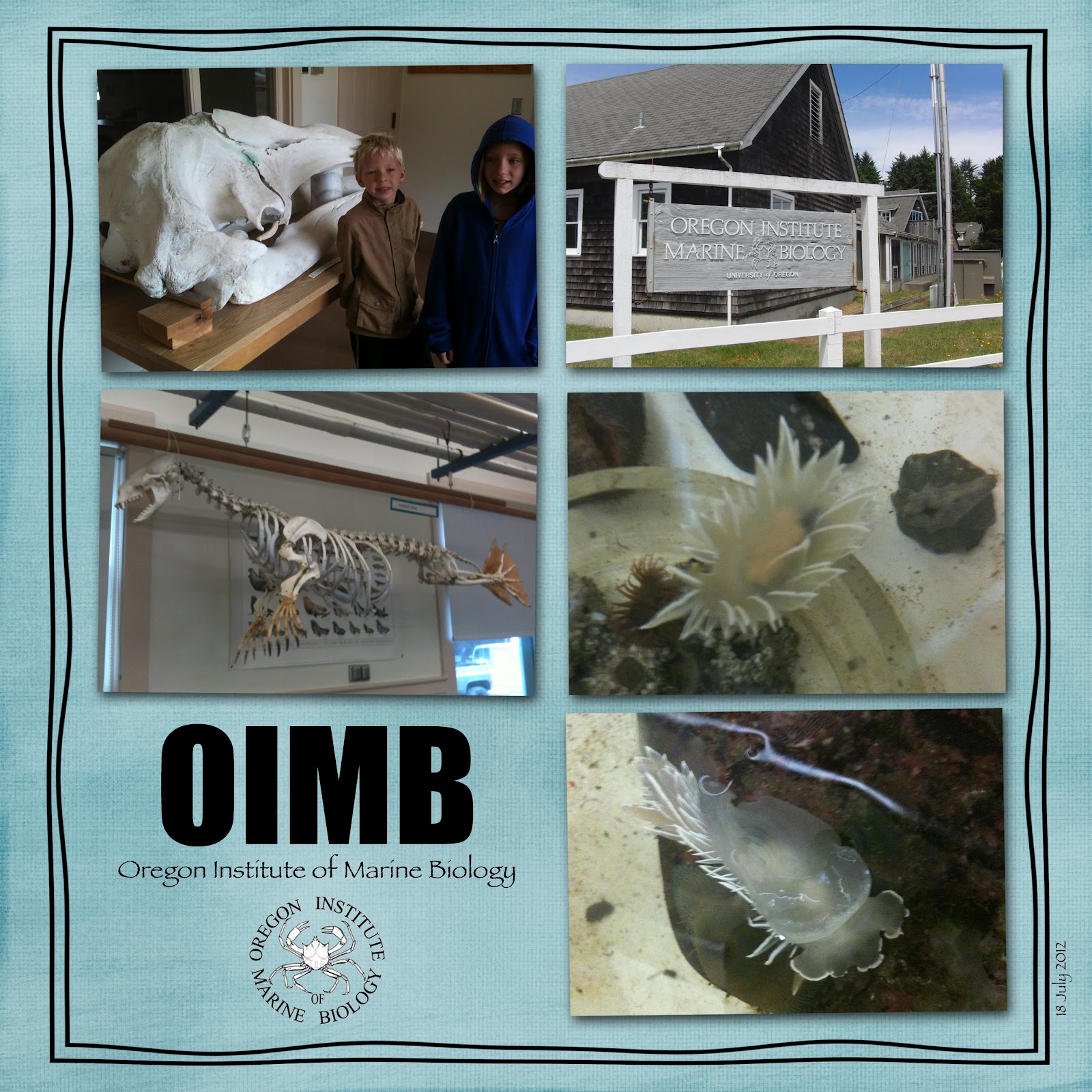 Tide Pools & OIMB - Eva Varga