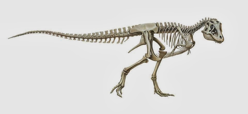 Species New to Science: [Paleontology • 2013] Lythronax argestes ...