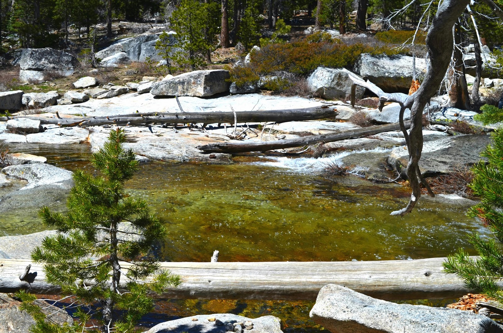 The Cyclist's Wife: Hiking Wright's Lake, Kyburz, CA {Mom's Day Adventure}