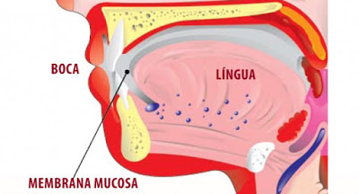 Administração de medicações por via Sublingual - Enfermagem