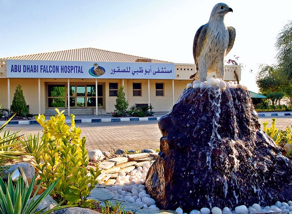 Falcon Hospital ~ Nature Conservancy