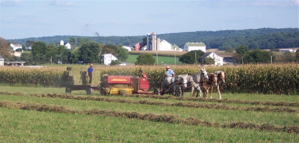 Cultural Anthropology: The Amish Culture