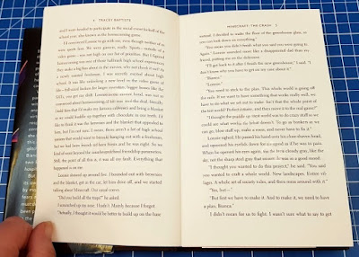 The Brick Castle: Minecraft: The Crash by Tracey Baptiste children's ...