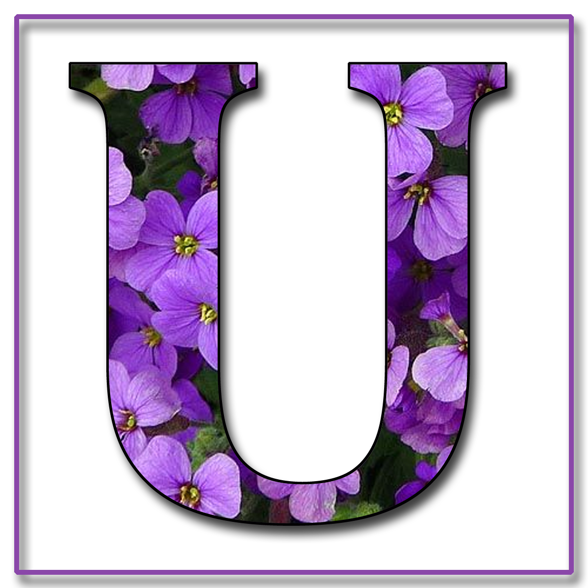 GRANNY ENCHANTED'S BLOG: "Purple Flowers" Free Scrapbook Alphabet ...