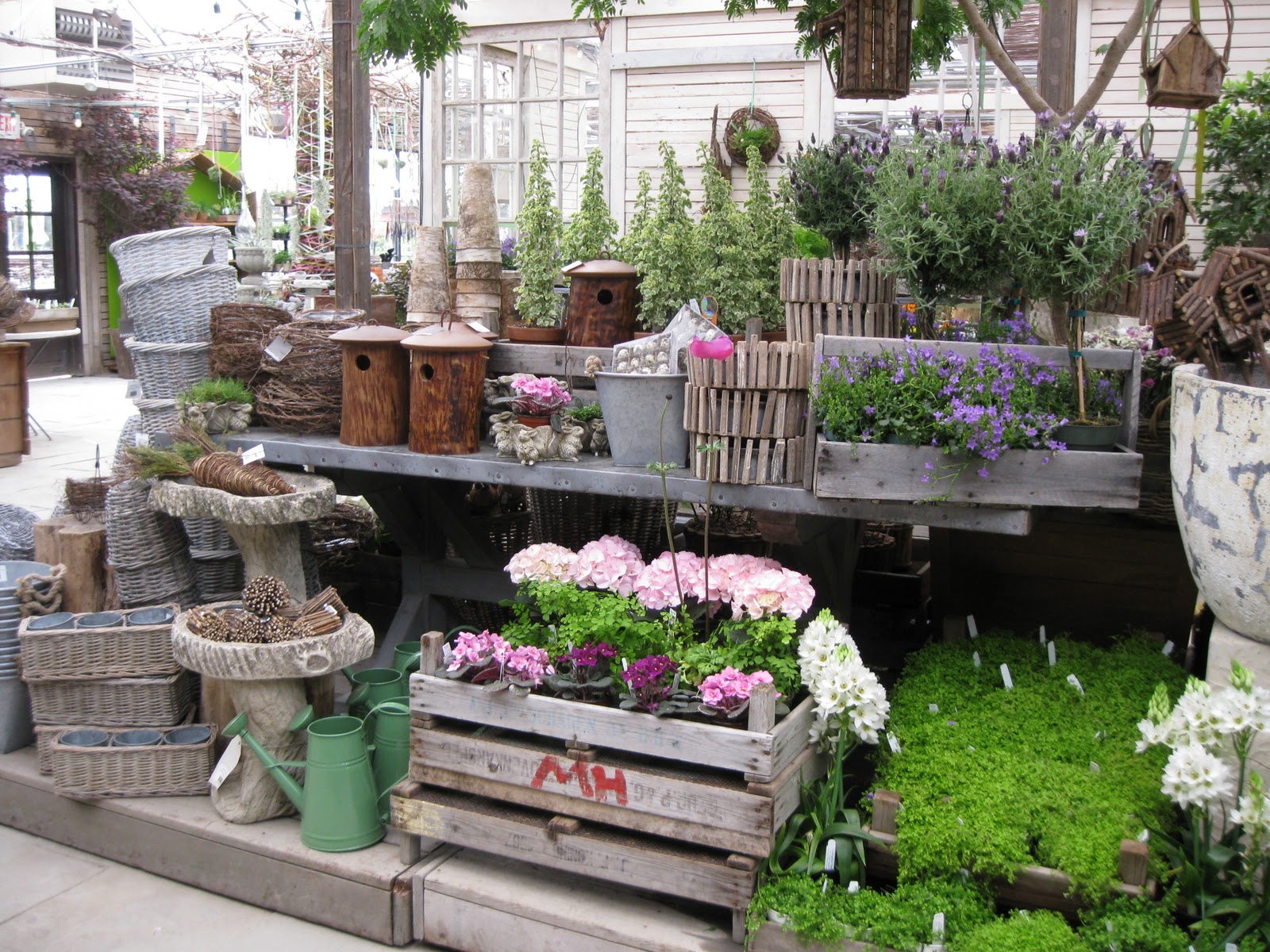 All Things Andrea: Terrain at Styer's