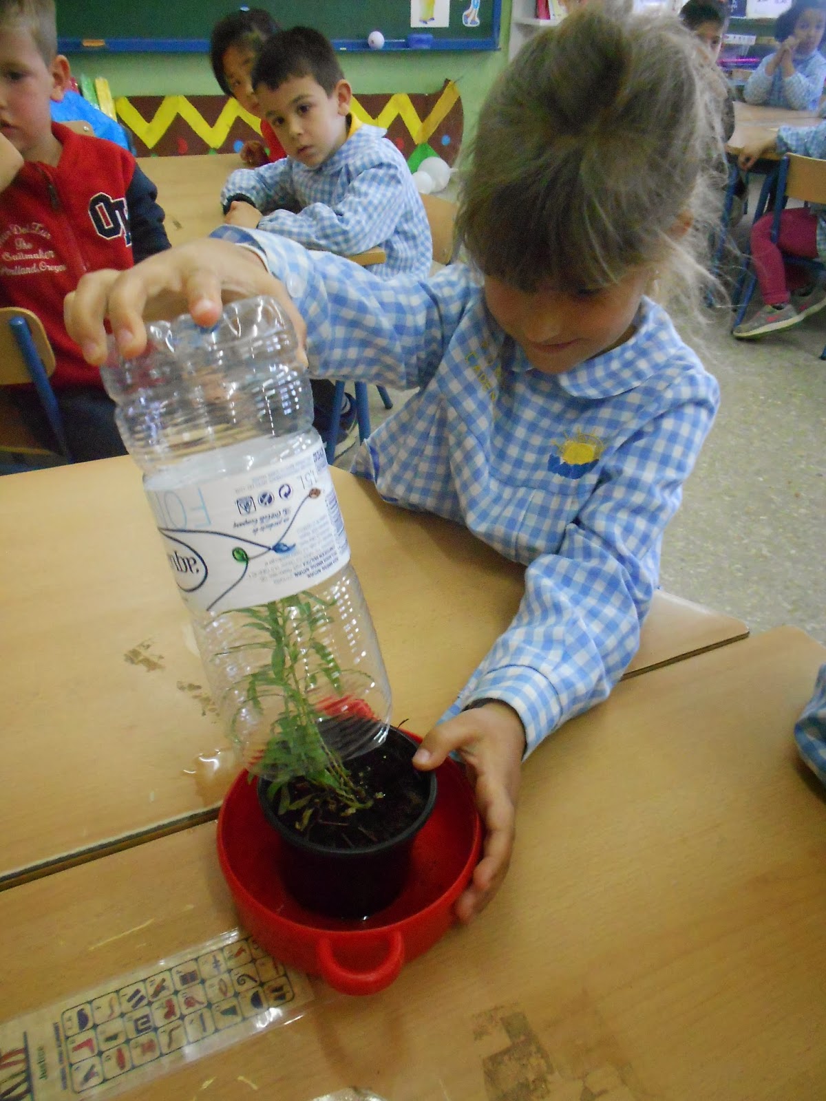 CAMINITOS DE ILUSIÓN: TALLER DE EXPERIMENTOS: PLANTAS Y BOTELLAS