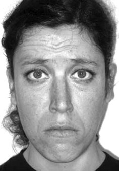 Nonverbal World - The World Without Words: Reading Body Language ...